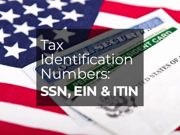 В чем разница между EIN, ITIN, SSN и Tax ID в США? – TaxFreeCorp